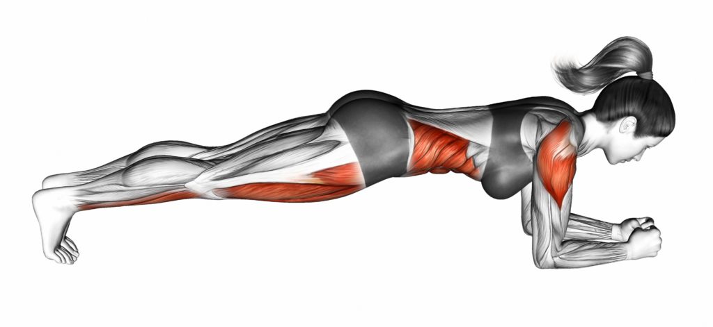 What Are Isometric Exercises and Can They Help You Build Strength ...